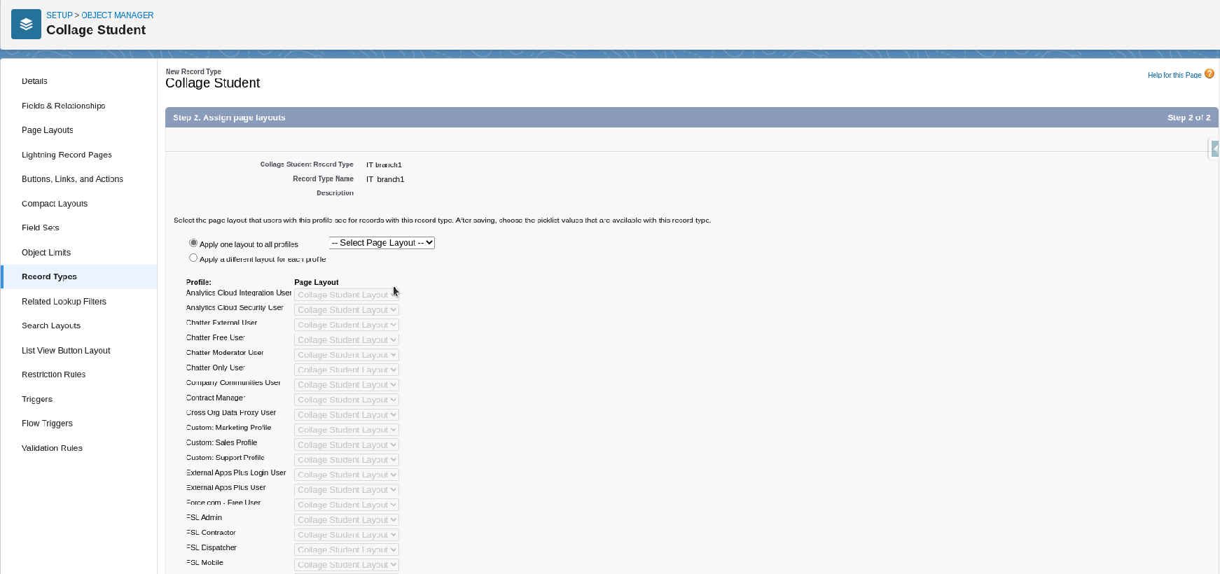 Salesforce Objects 101: A Comprehensive Handbook - Arrify
